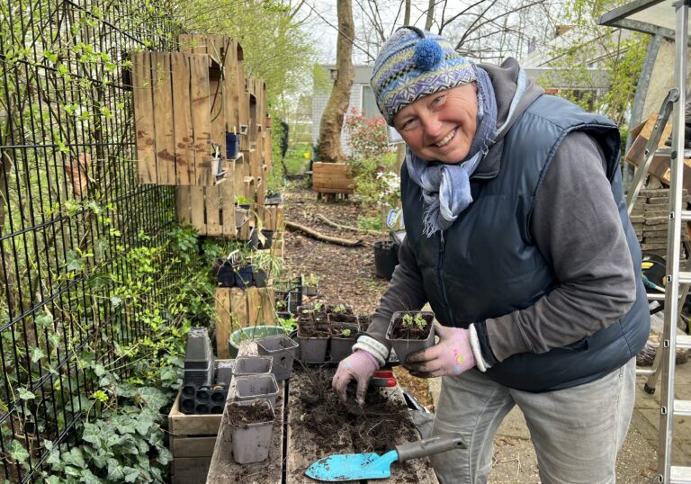 Vrijwilligers knappen tuin bibliotheek in Noord op: ‘Wordt oase in deze ...